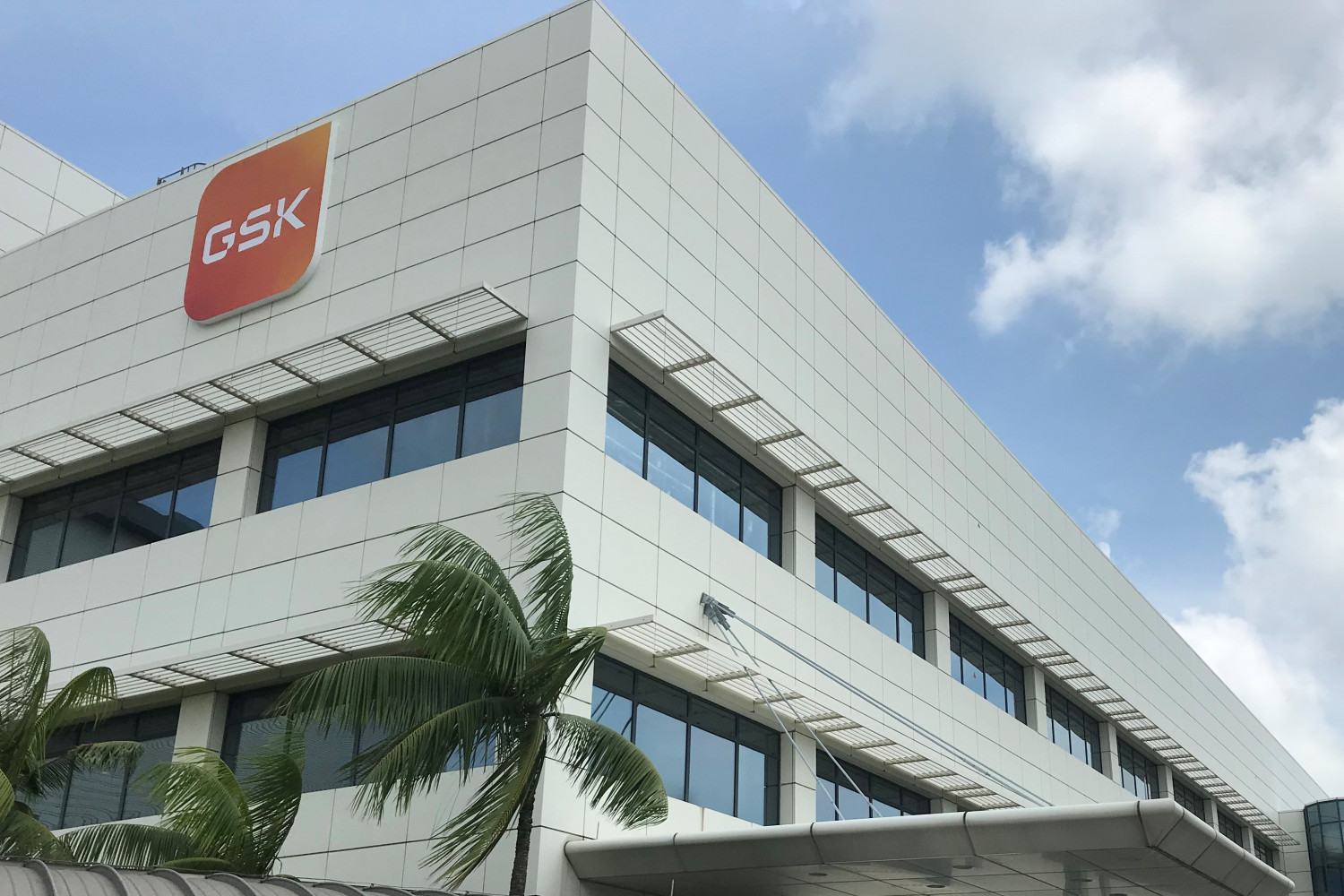 Комбинированная терапия GSK не увеличила общую выживаемость пациенток с ...