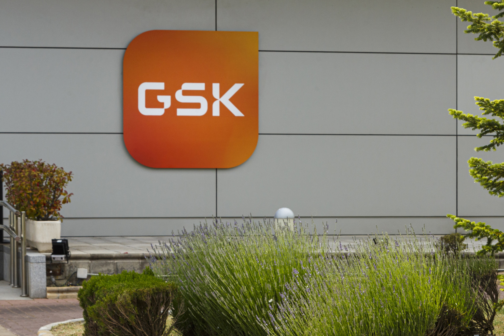 Чистая прибыль GSK выросла на 66% в I квартале » Фармвестник