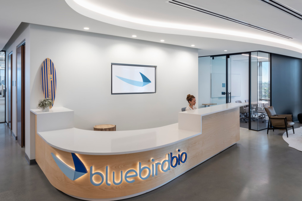 Bluebird bio сменила название на Genetix Biotherapeutics » Фармвестник